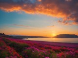 100 Best February Recap Captions And Quotes For Instagram Posts